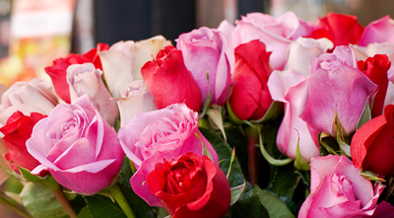 3S-ショップ サポートシステム｜クラウドサービス